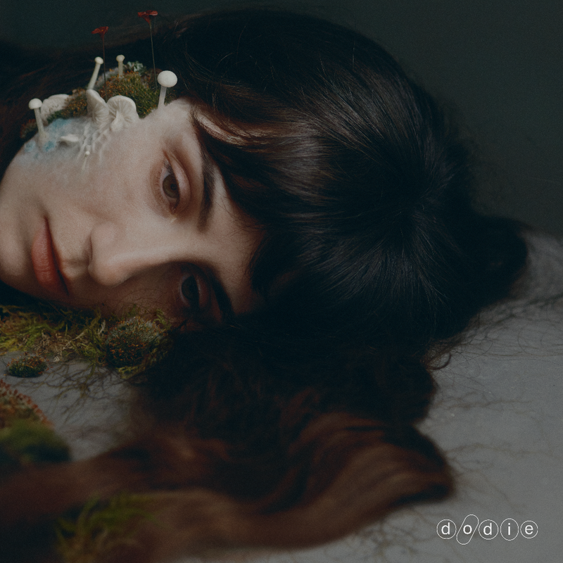dodie: Not For Lack Of Trying Digital - Verve Record Store