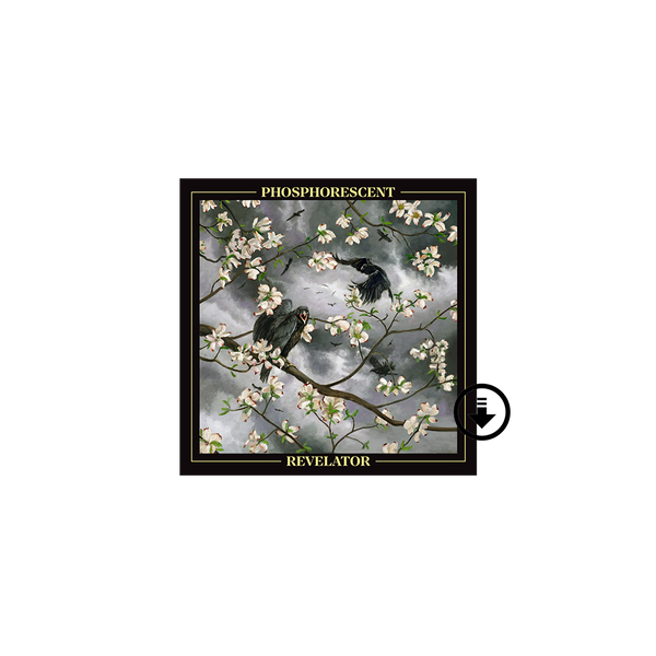 Phosphorescent: Revelator Digital Album - Verve Record Store