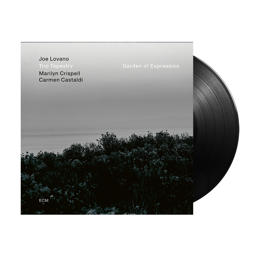 Joe Lovano: Garden of Expression LP - Verve Record Store